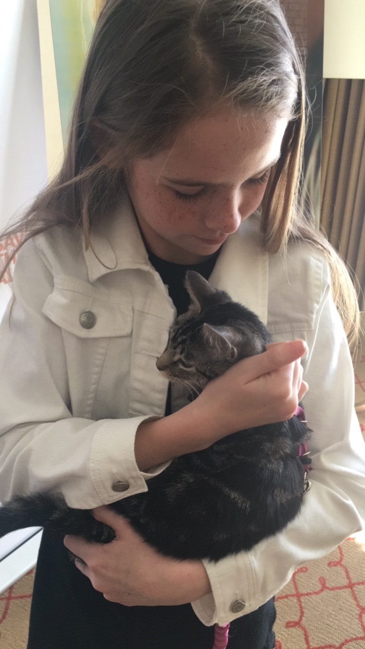 DelaneyCaptainAmericaCatjpg - Pretty Extraordinary